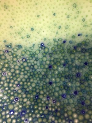 Vitrigraph Pot - Colors For Earth, LLC