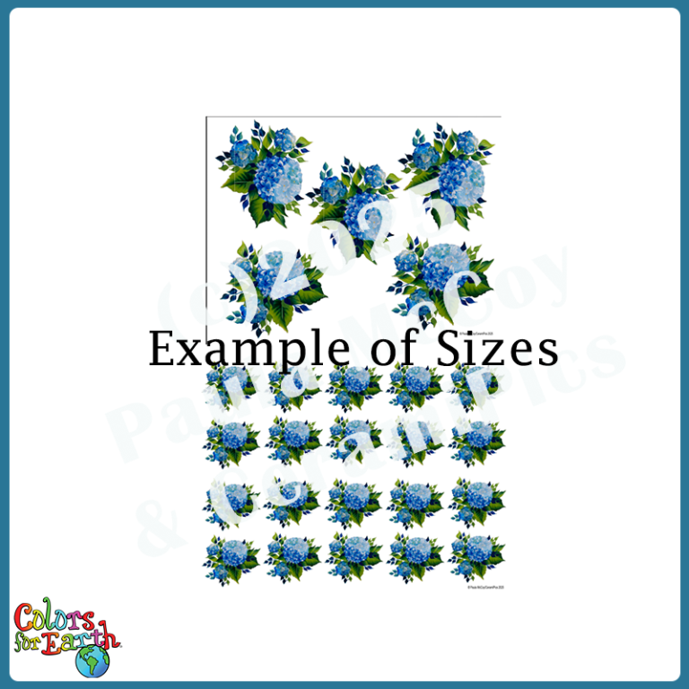 Hydrangea - Waterslide Decals - Colors For Earth, LLC