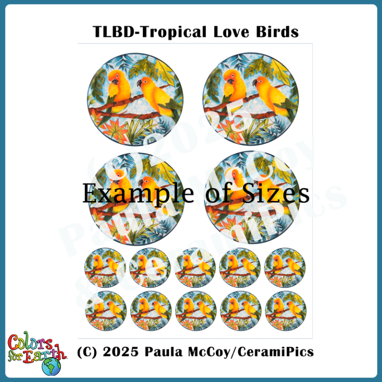 Tropical Birds - Waterslide Decals - Colors For Earth, LLC